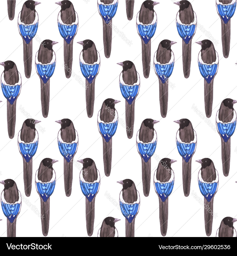 Black billed magpie or american pica Royalty Free Vector