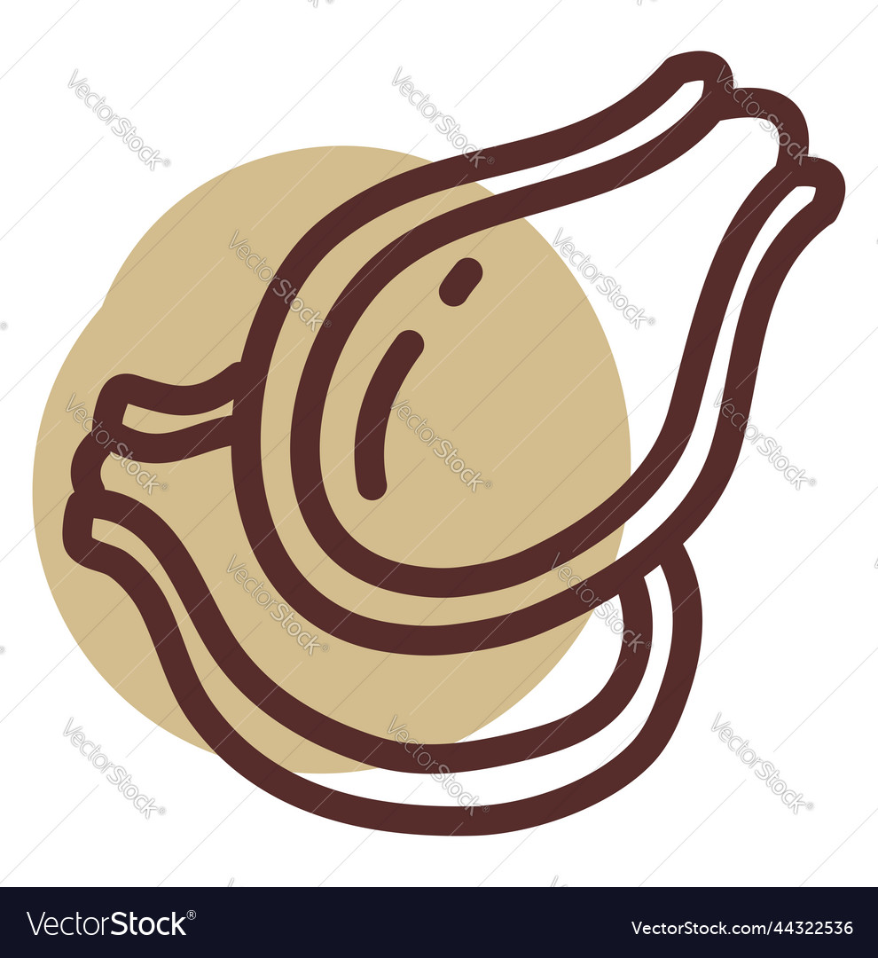 Nuts in nutshell on a white background Royalty Free Vector