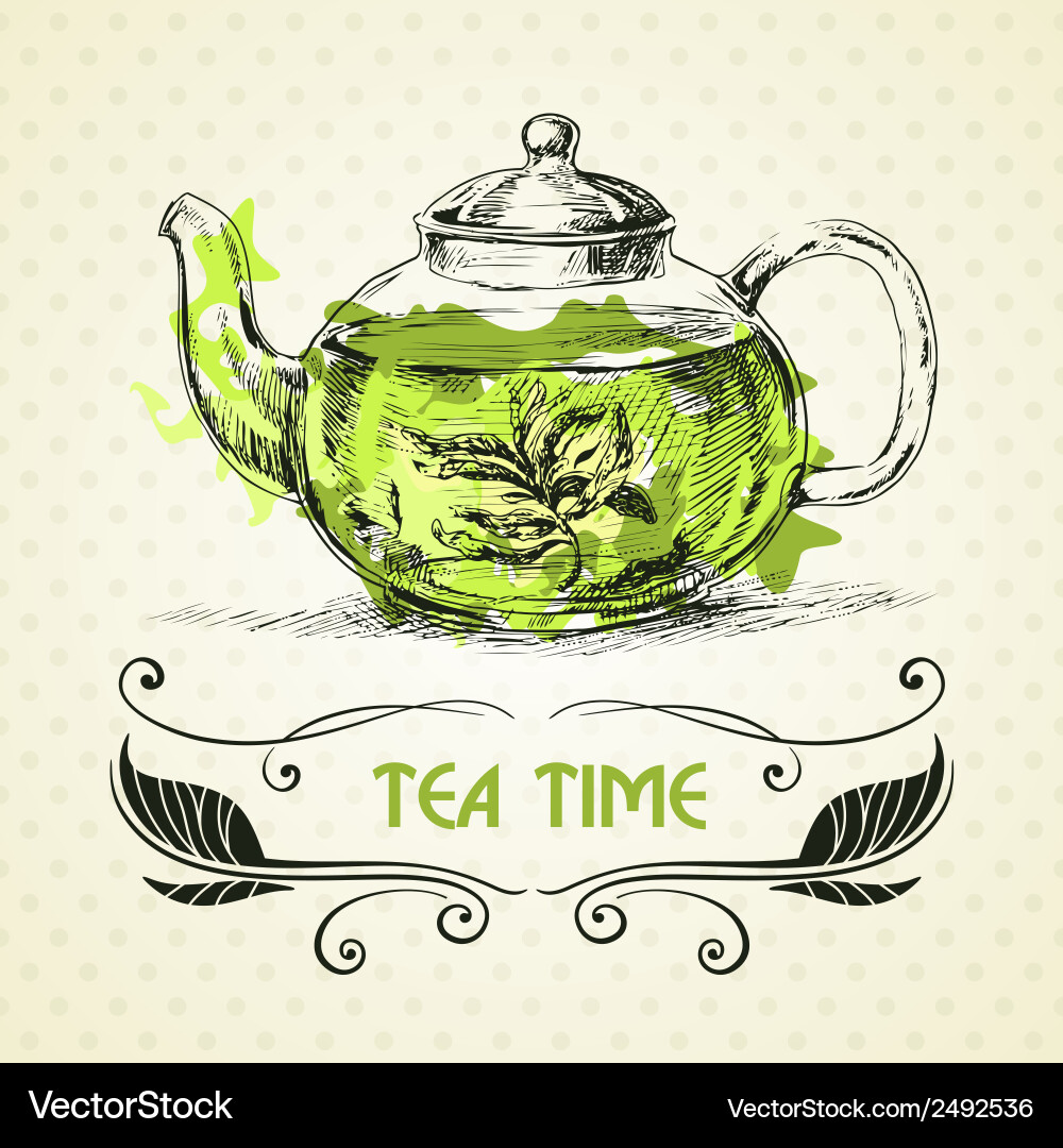 Teapot green tea Royalty Free Vector Image - VectorStock