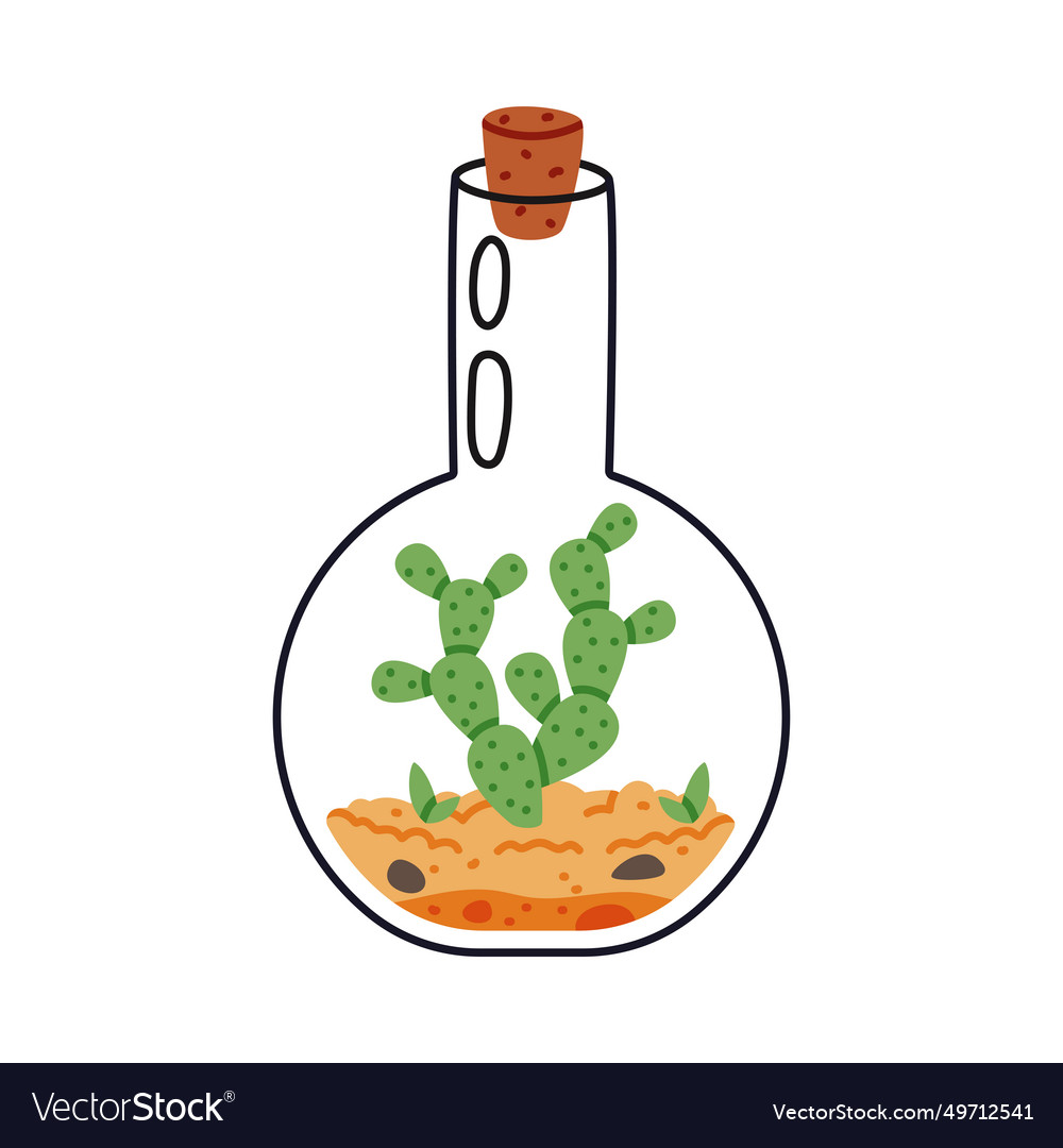 Home florarium with cactus plant in glass Vector Image