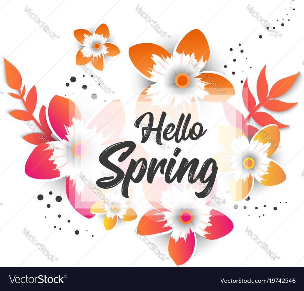 Hello spring concept banner with flowers Vector Image