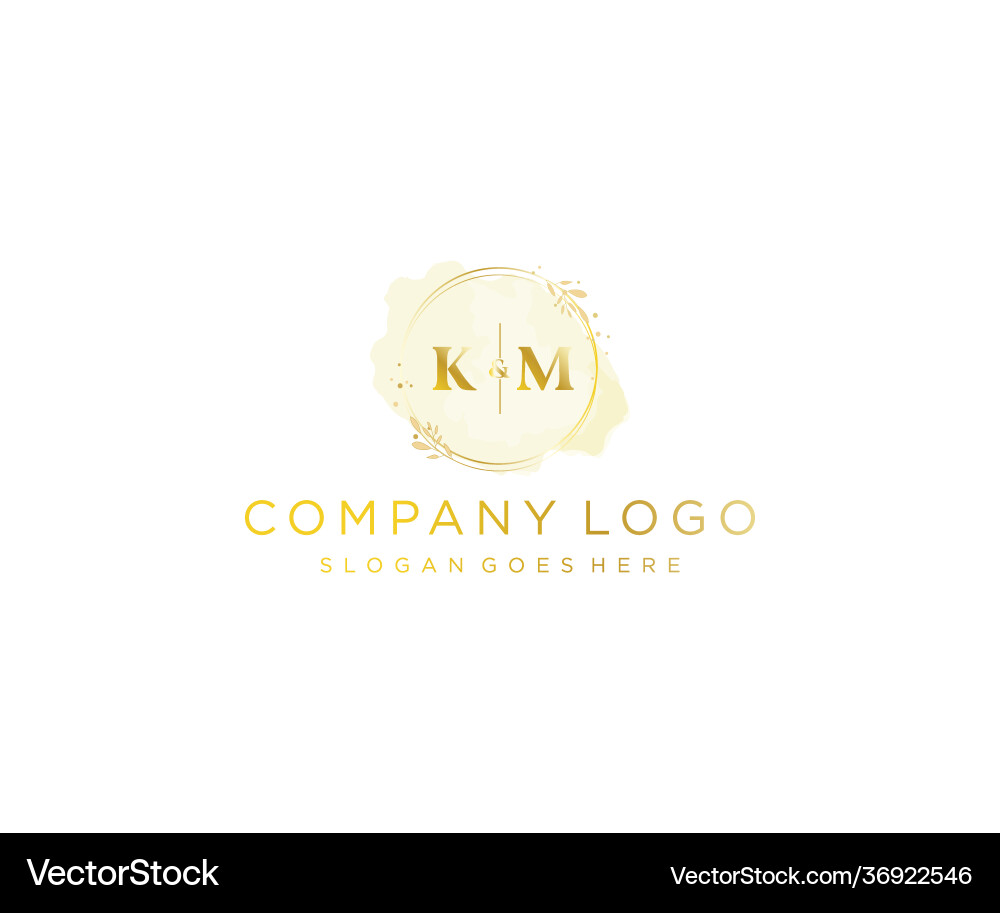 Initial km letters colorful watercolor splash Vector Image