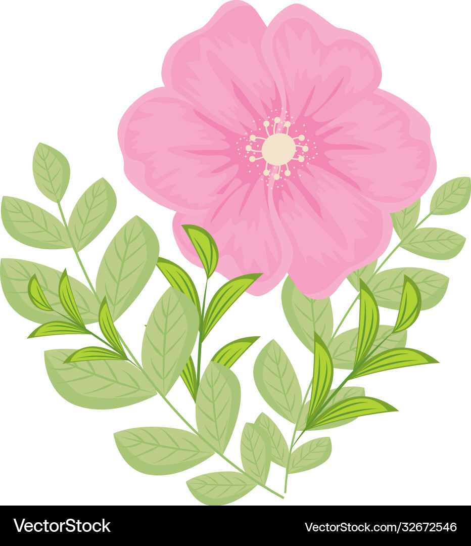 Pink flower with leaves design Royalty Free Vector Image