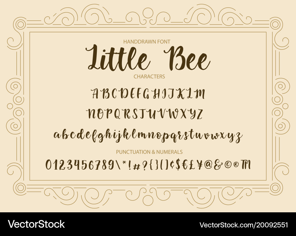 Modern calligraphic font brush painted letters Vector Image