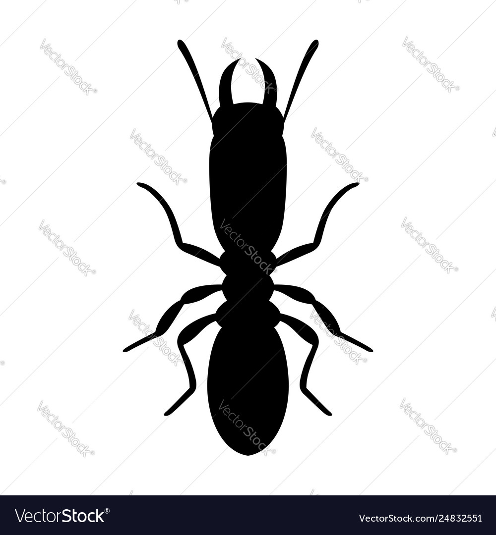 Termite Royalty Free Vector Image - VectorStock