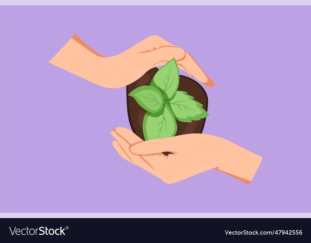 Character flat drawing of ecology sapling tree Vector Image Character flat drawing of ecology sapling tree Vector Image