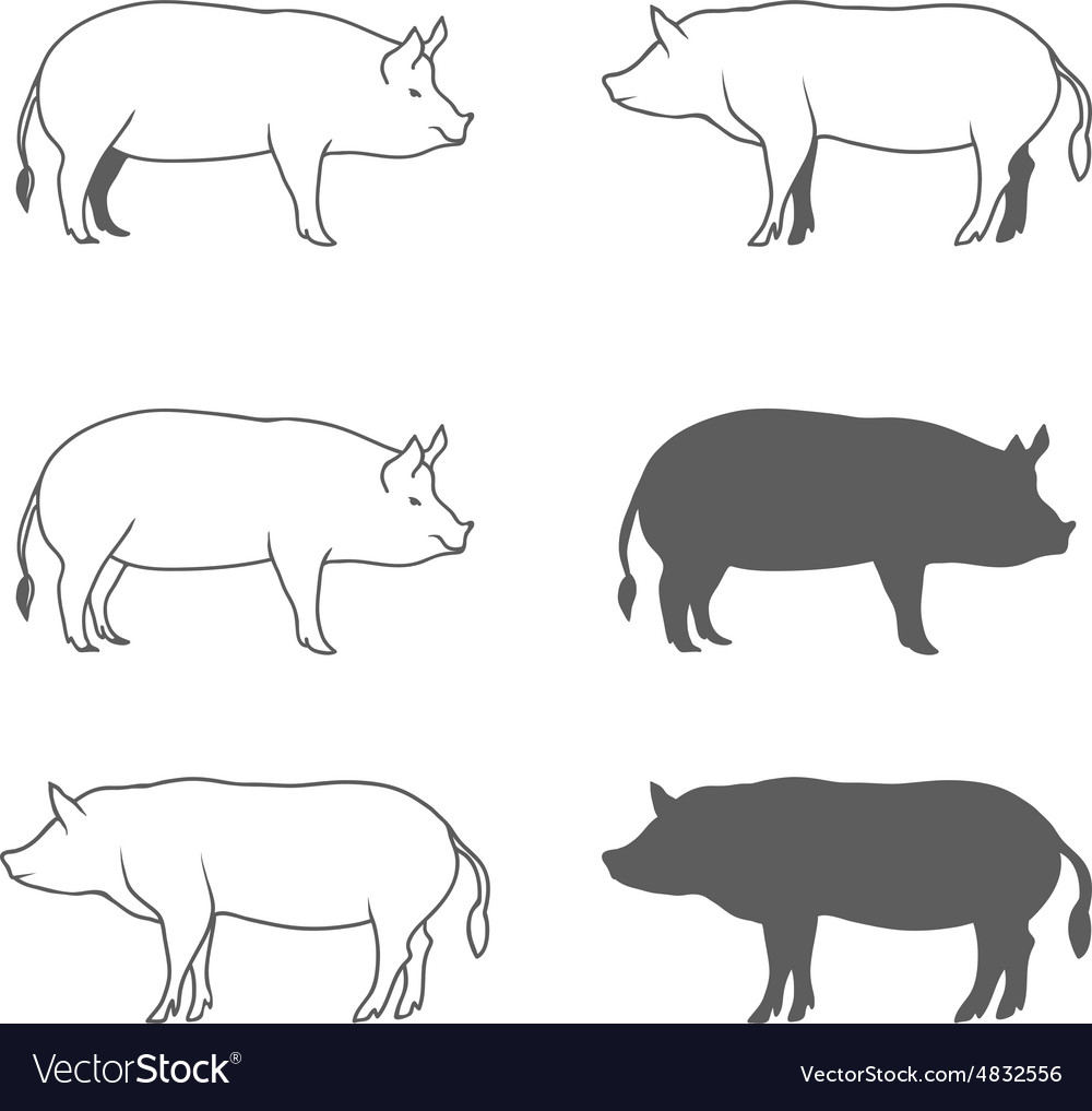Set pig isolated on white background Royalty Free Vector