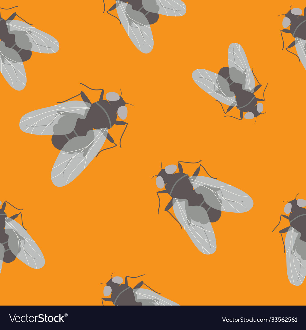 Seamless Pattern With Flies On Orange Background Vector Image