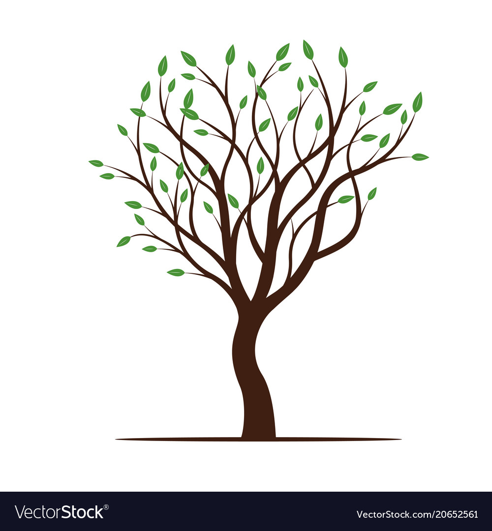 Spring tree with green leafs Royalty Free Vector Image