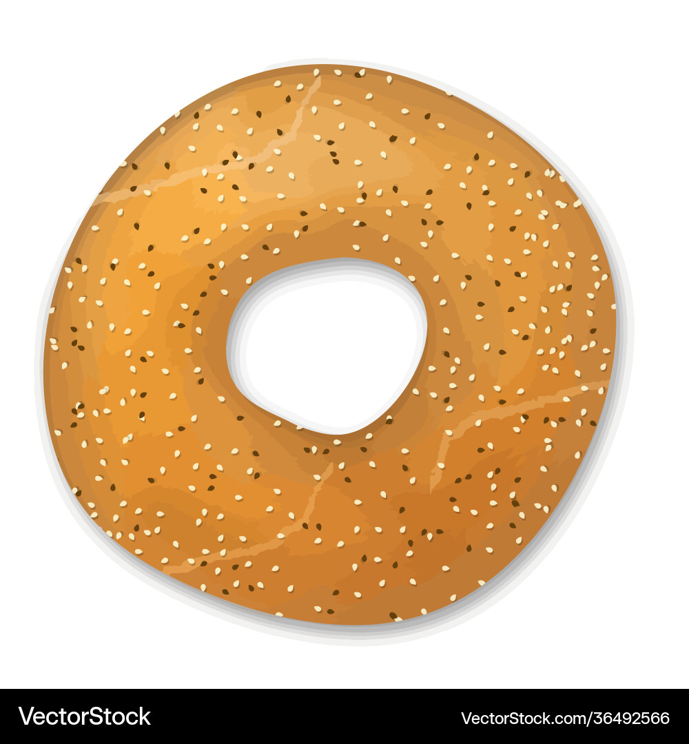 Delicious bagel with sesame Royalty Free Vector Image