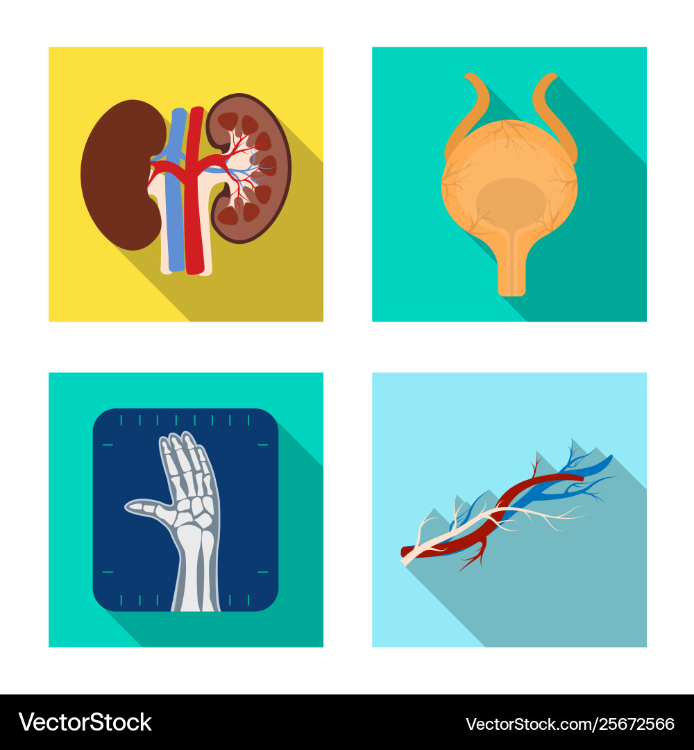 Design body and human symbol set Royalty Free Vector Image