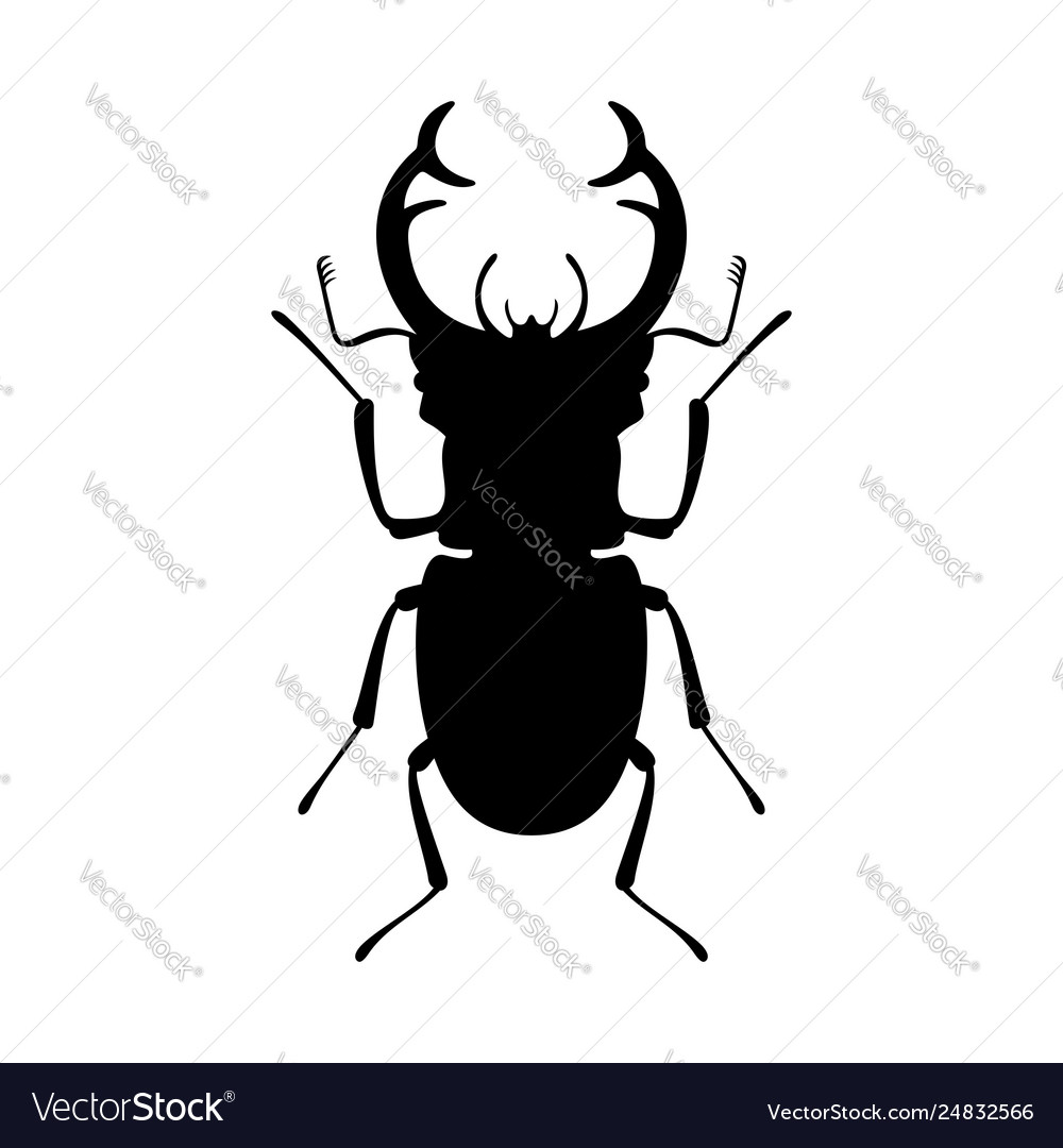 Stag beetle Royalty Free Vector Image - VectorStock