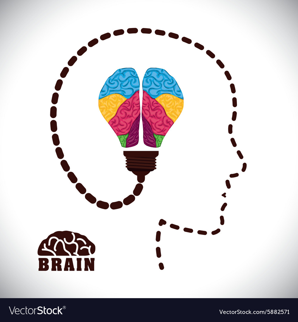 Human brain design Royalty Free Vector Image - VectorStock