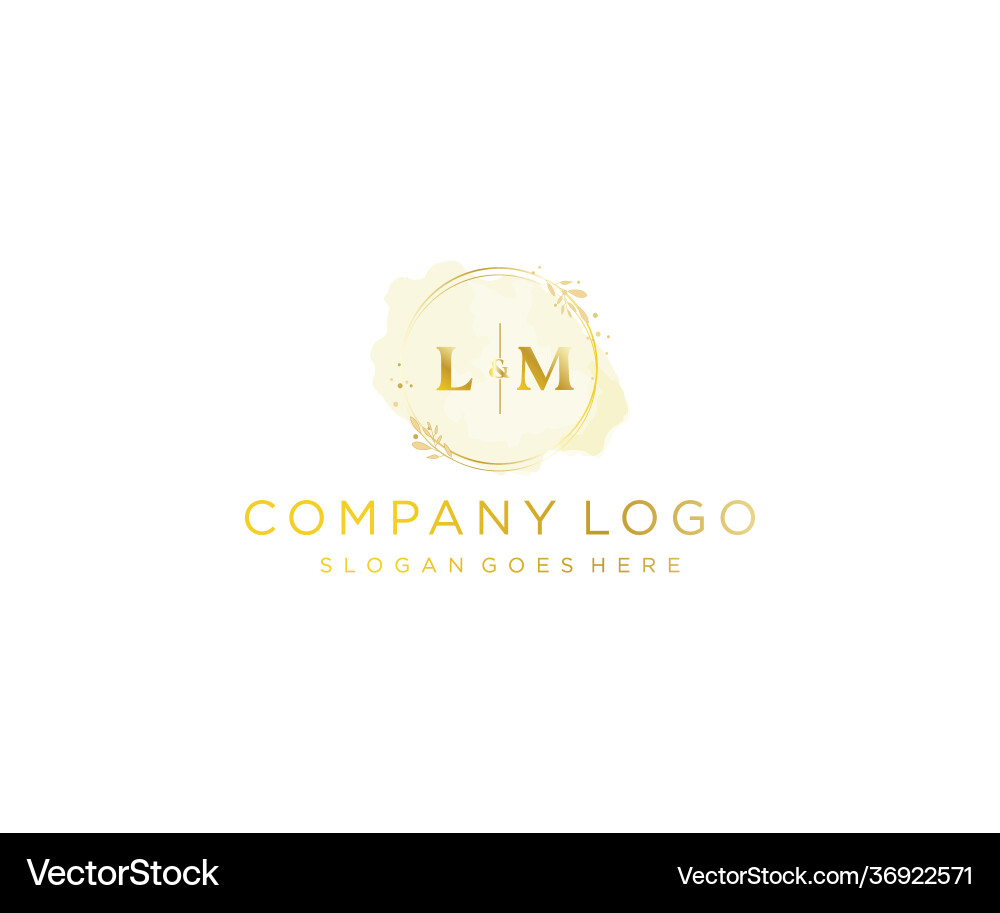 Initial lm letters colorful watercolor splash Vector Image