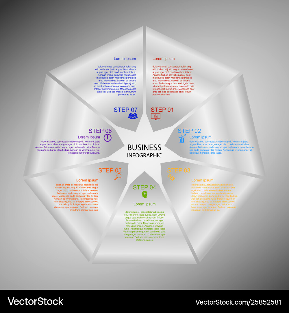 Business infographics geometry heptagon design Vector Image