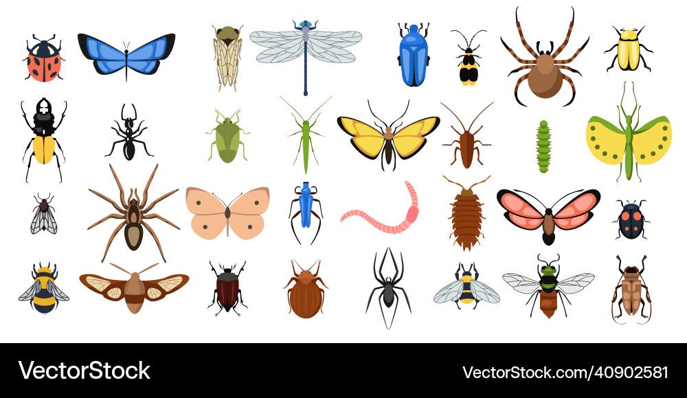 Set of different insects on white background Vector Image