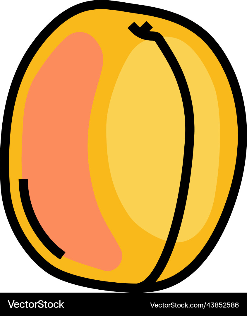 Apricot ripe fruit color icon Royalty Free Vector Image
