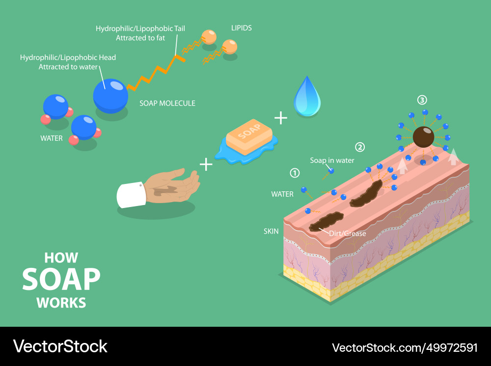 3d isometric flat of how soap Royalty Free Vector Image