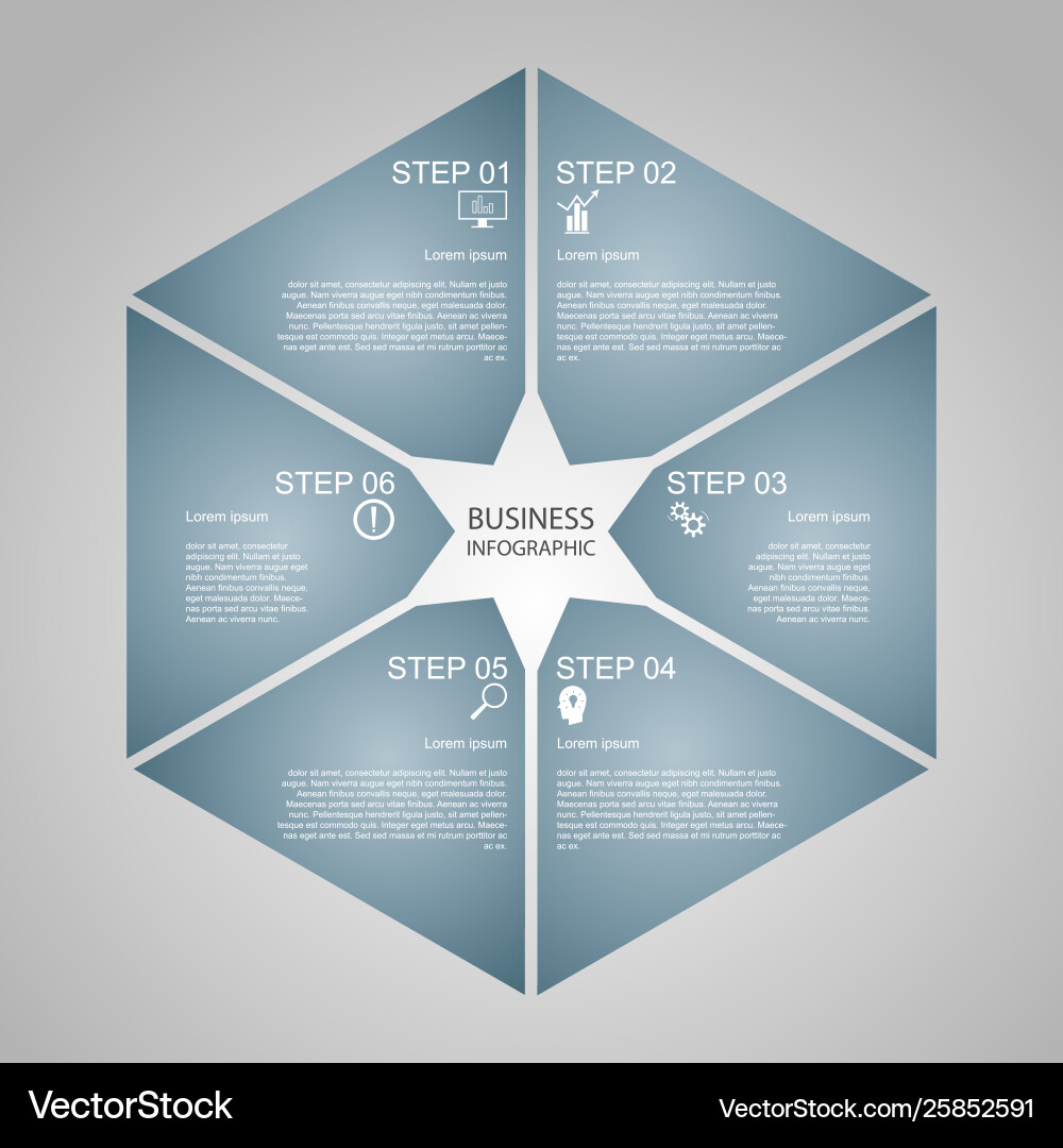 Business infographics geometry hexagon design Vector Image