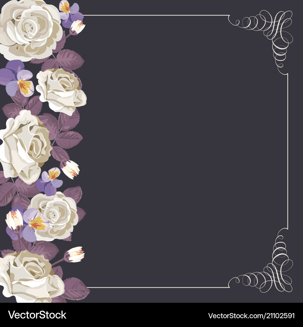 Flora card template with white roses and square Vector Image