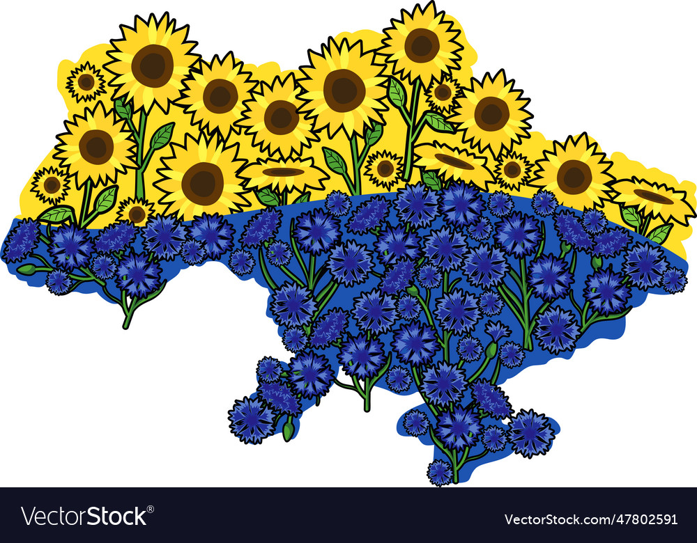 Map of ukraine sunflower and cornflower flowers Vector Image