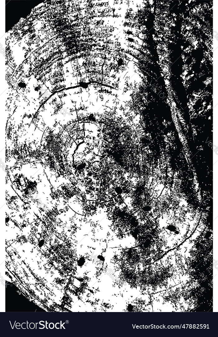 Tree stump macro texture Royalty Free Vector Image