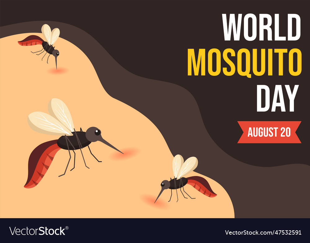 World mosquito day on 20 august with midge can Vector Image