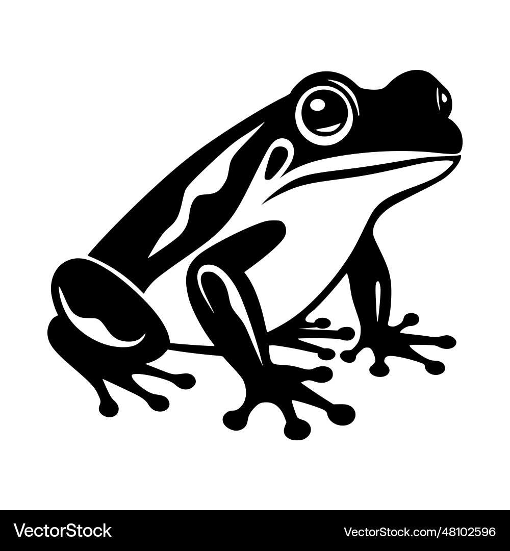 Frog amphibian animal logo Royalty Free Vector Image