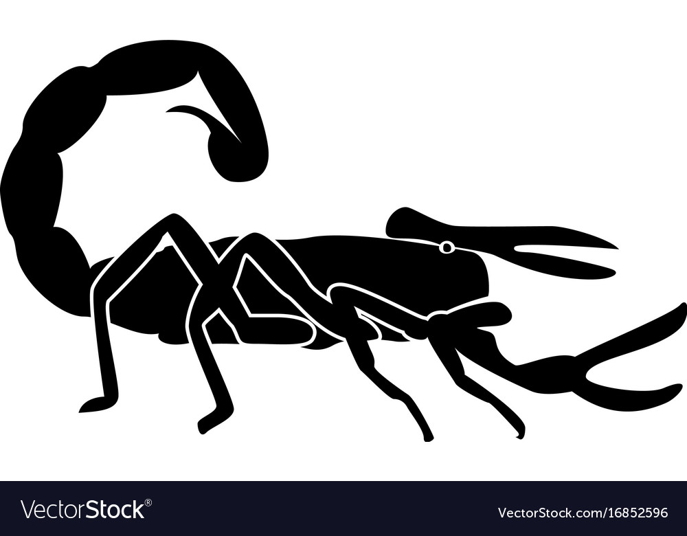 Scorpion Royalty Free Vector Image - VectorStock