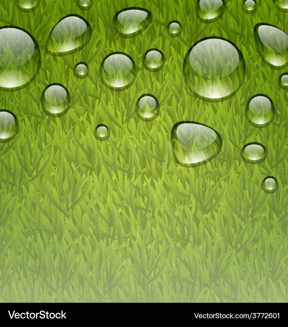 Eco friendly background with water drops on fresh Vector Image