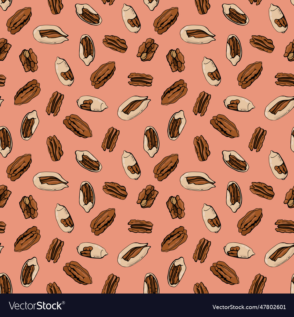 Seamless pattern with pine nuts Royalty Free Vector Image
