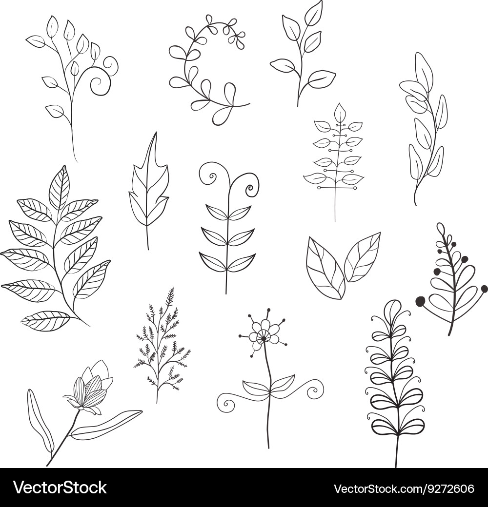 Leaves doodle set Royalty Free Vector Image - VectorStock