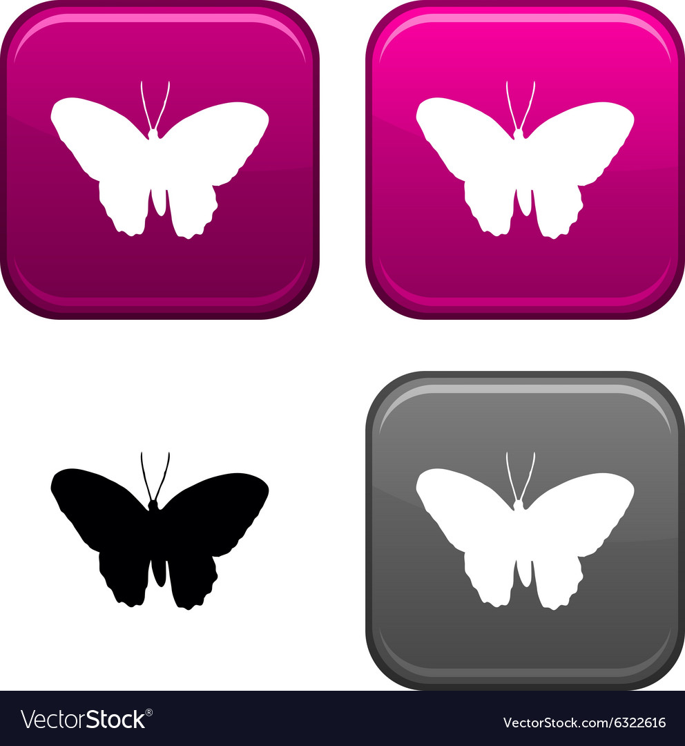 Butterfly button Royalty Free Vector Image - VectorStock