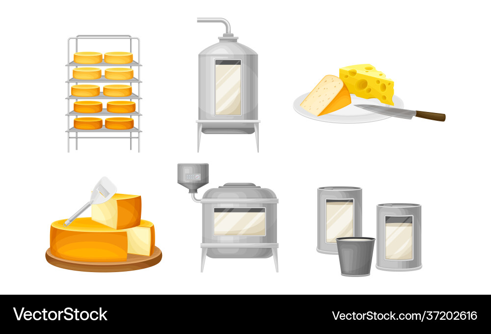 Cheese production with curdling and ripening Vector Image
