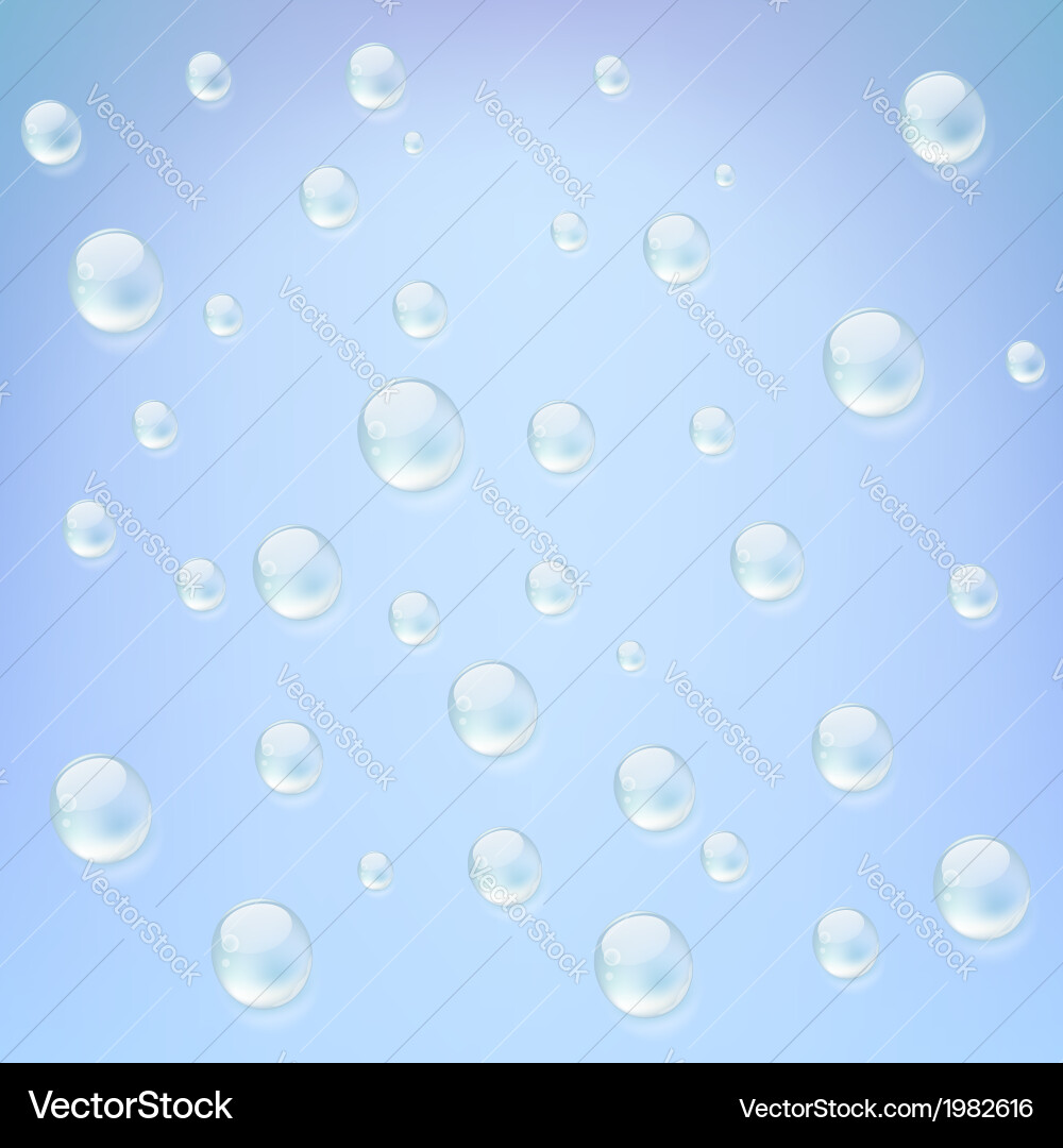 Drops of water with shadows reflections and Vector Image