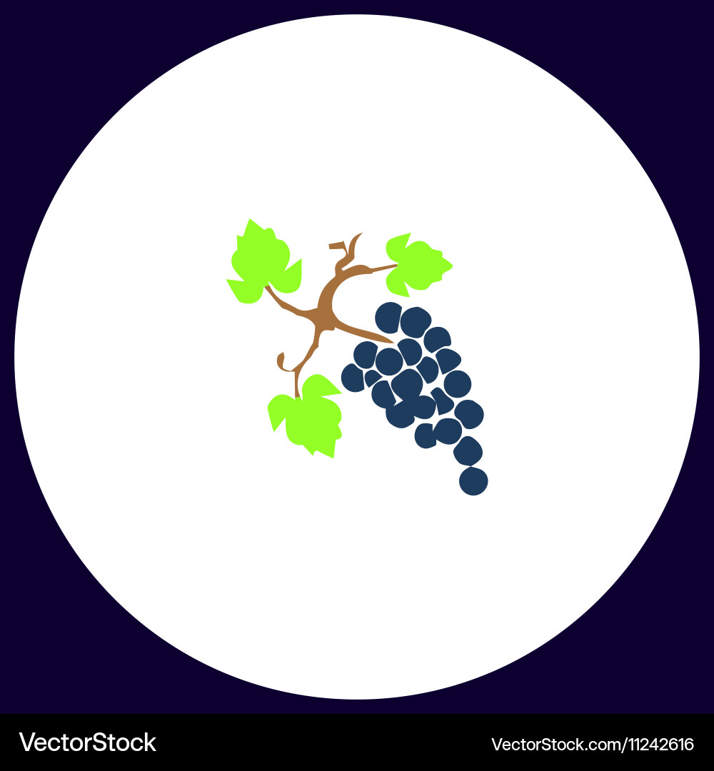 Grapes computer symbol Royalty Free Vector Image