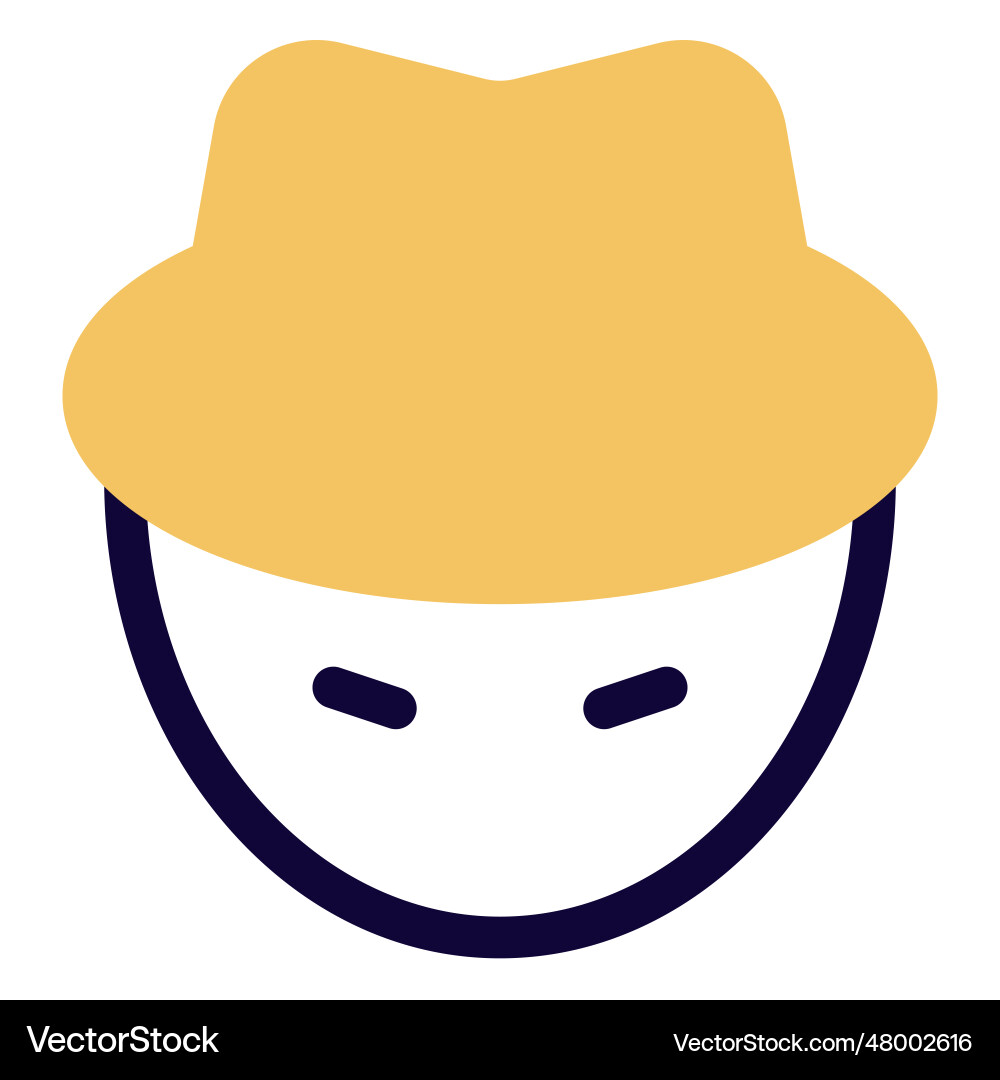 Hacker with technical skills in programming Vector Image