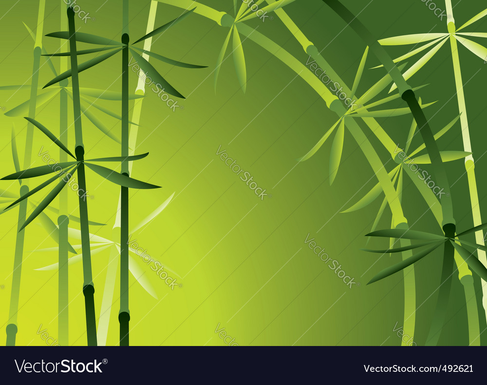 Bamboo forest Royalty Free Vector Image - VectorStock