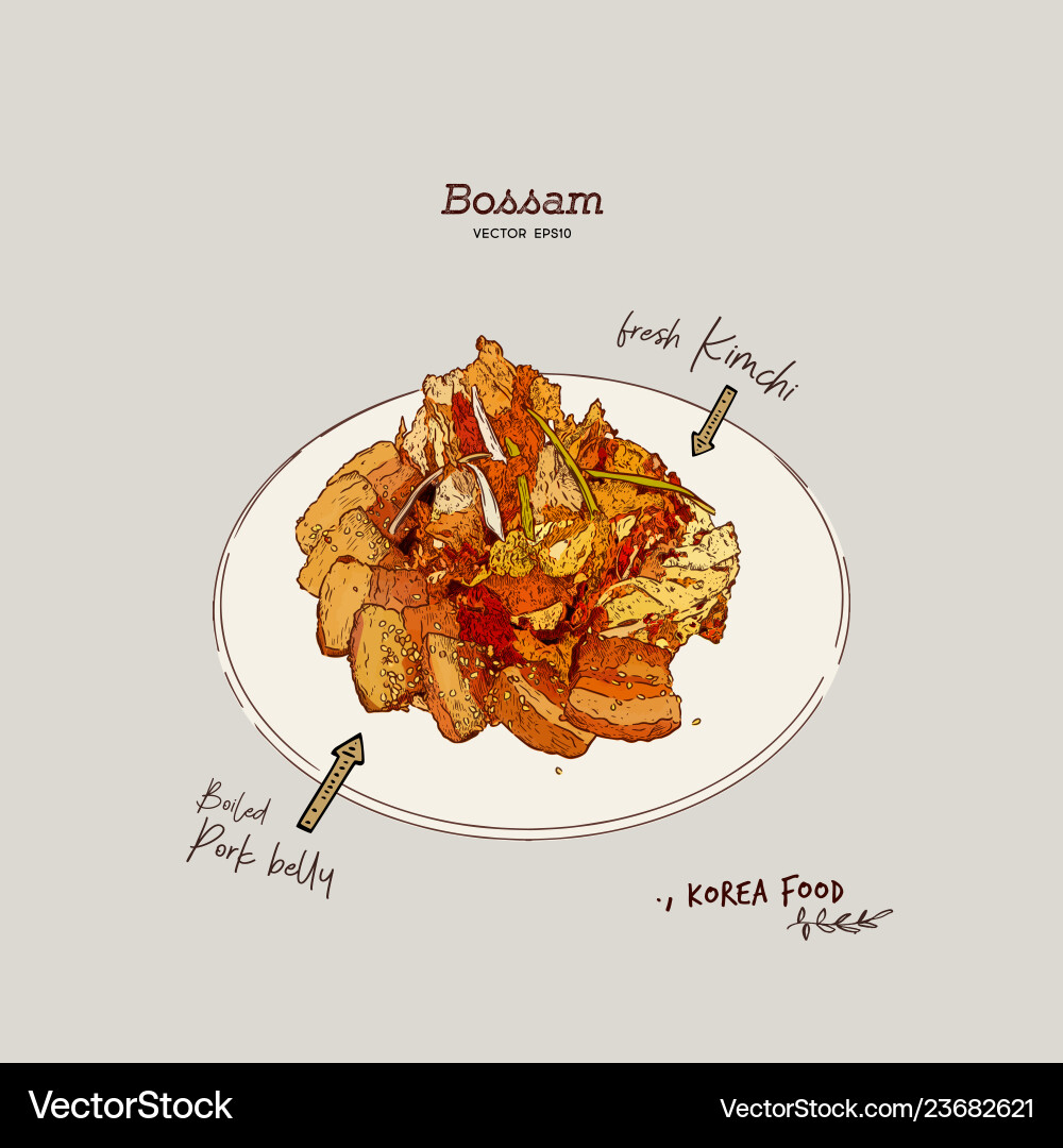 Bossam tredition korea food Royalty Free Vector Image