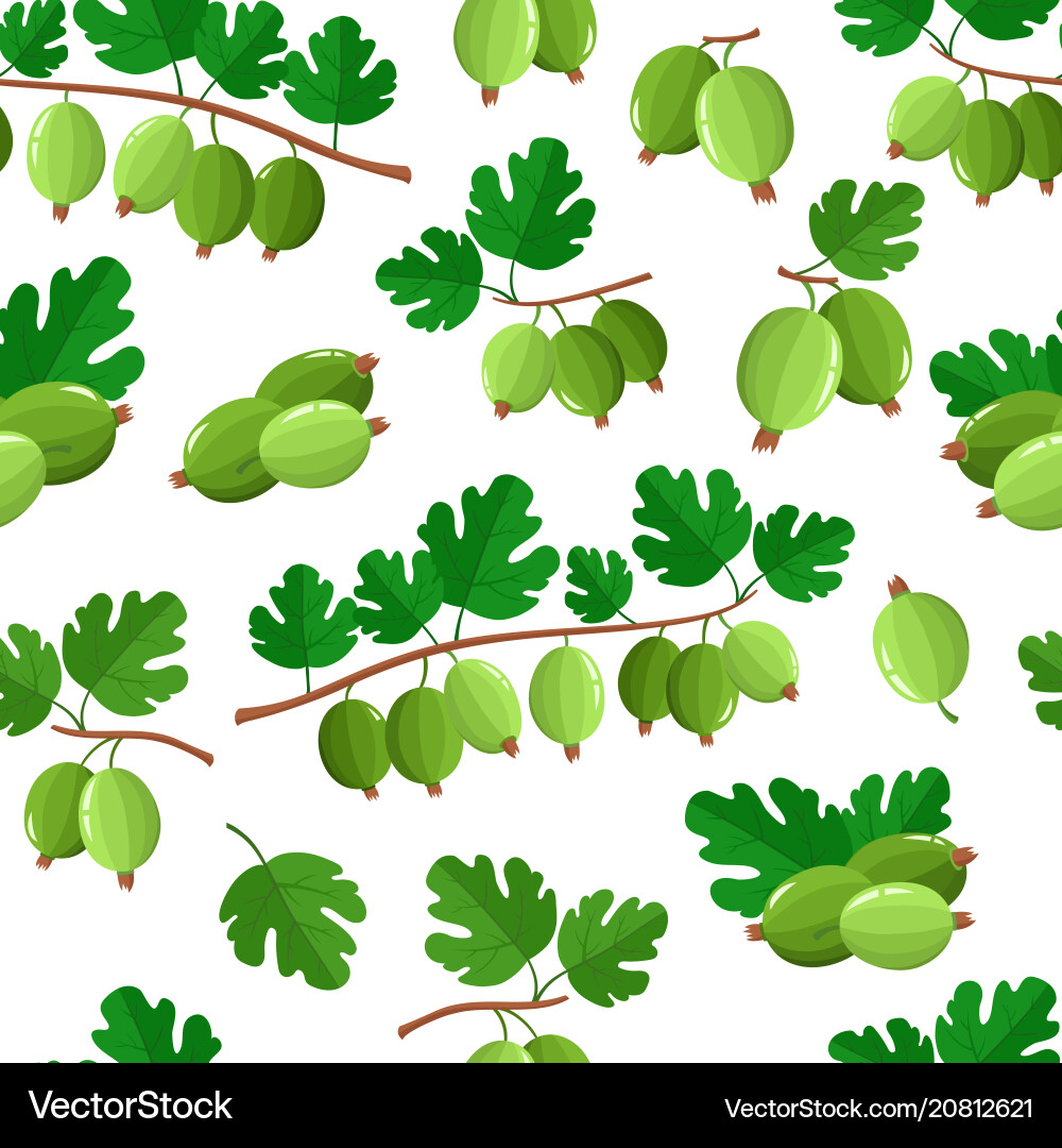 Seamless pattern with cartoon gooseberries Vector Image