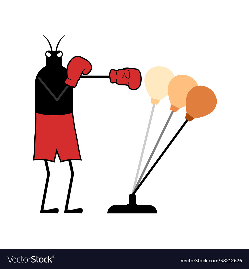 Boxer insect Royalty Free Vector Image - VectorStock