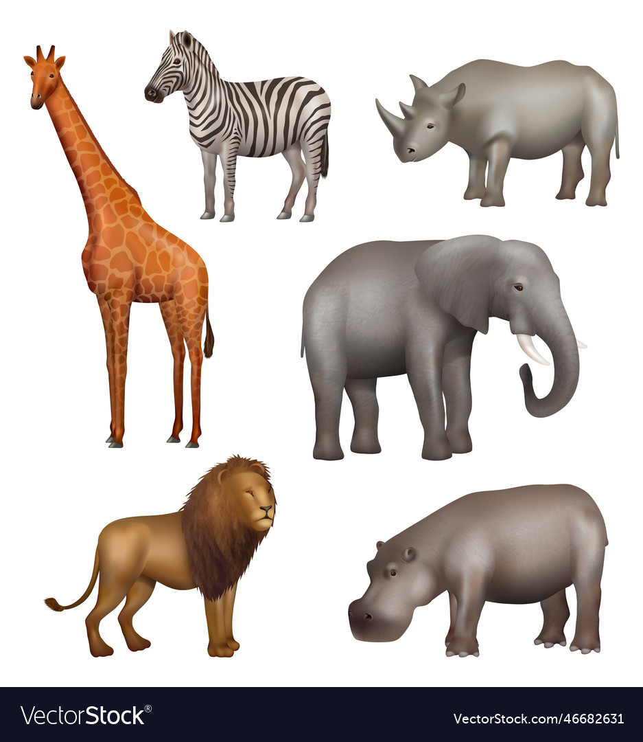 African animals hippopotamus zebra elephant lion Vector Image