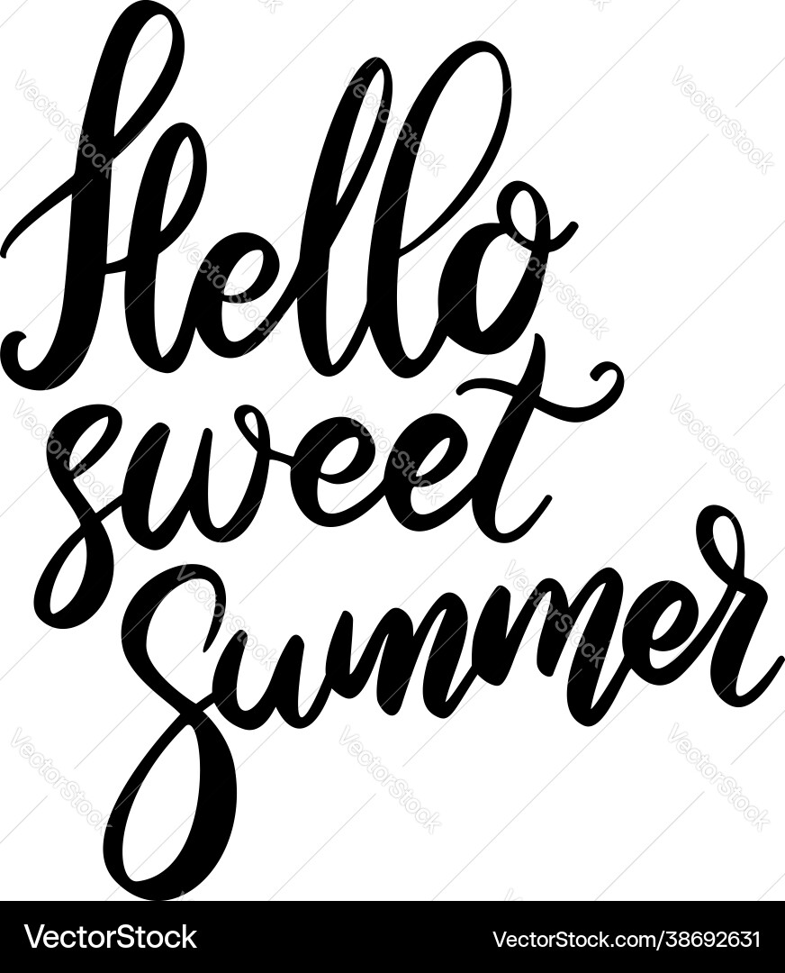 Hello sweet summer lettering phrase on white Vector Image