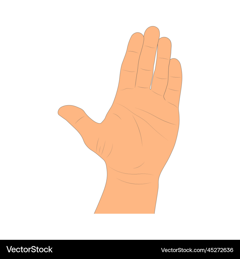 Drawing cartoon human arm isolated on white Vector Image