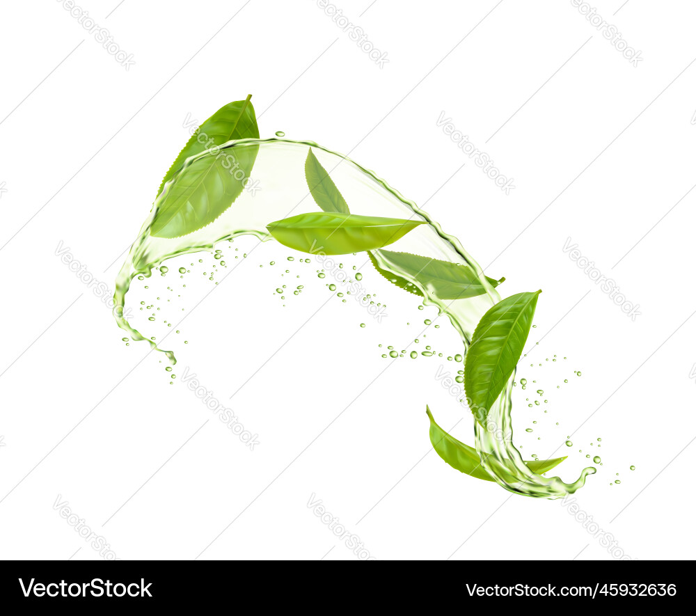 Herbal drink wave splash green tea leaves water Vector Image