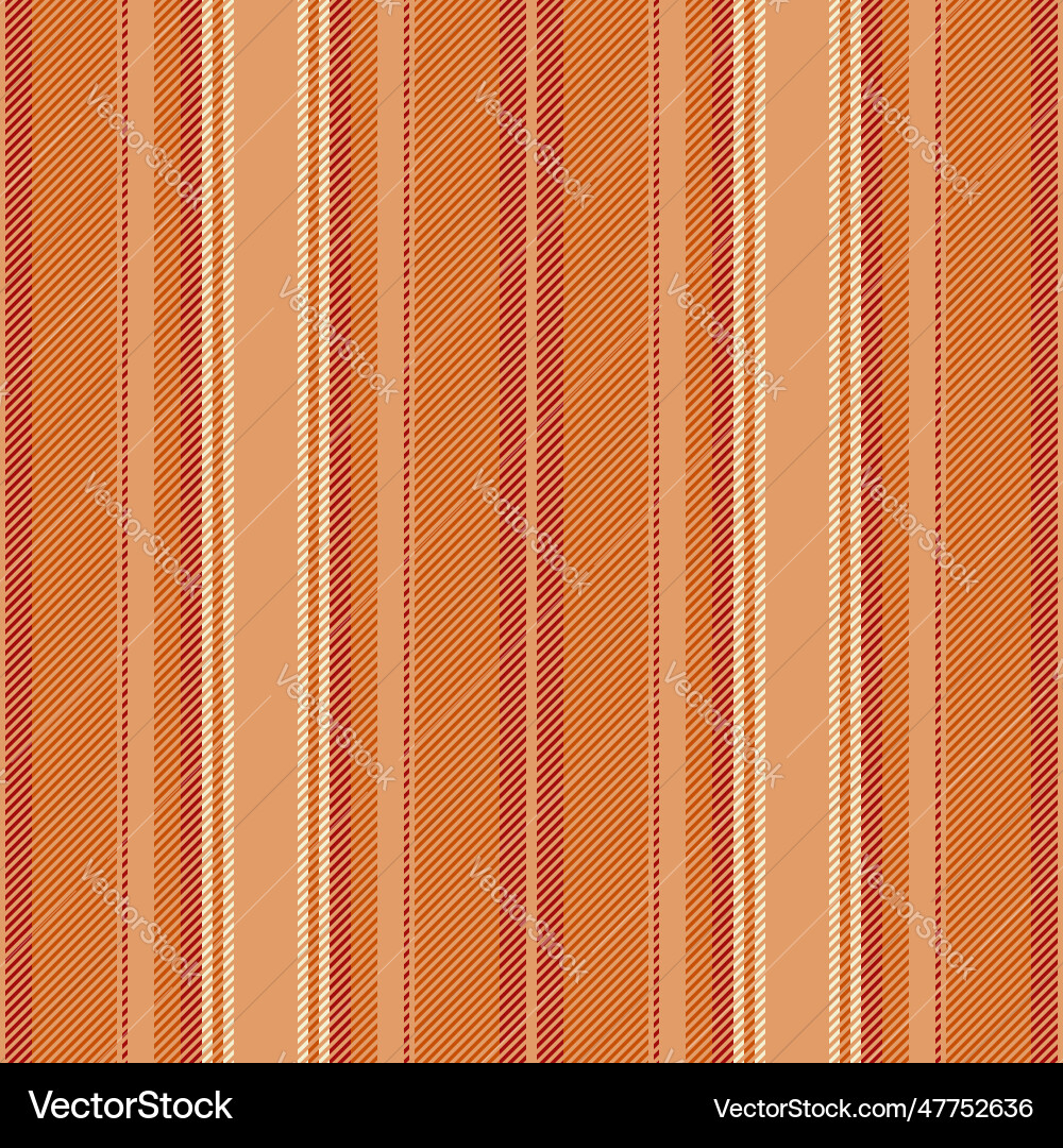 Lines vertical of textile fabric seamless Vector Image