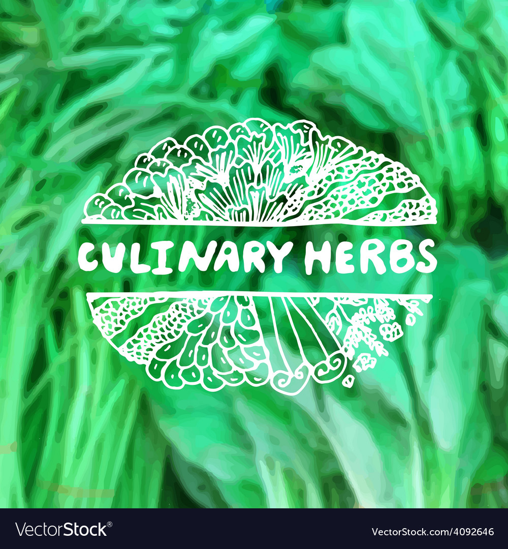 Entangle element on blurred background culinary Vector Image