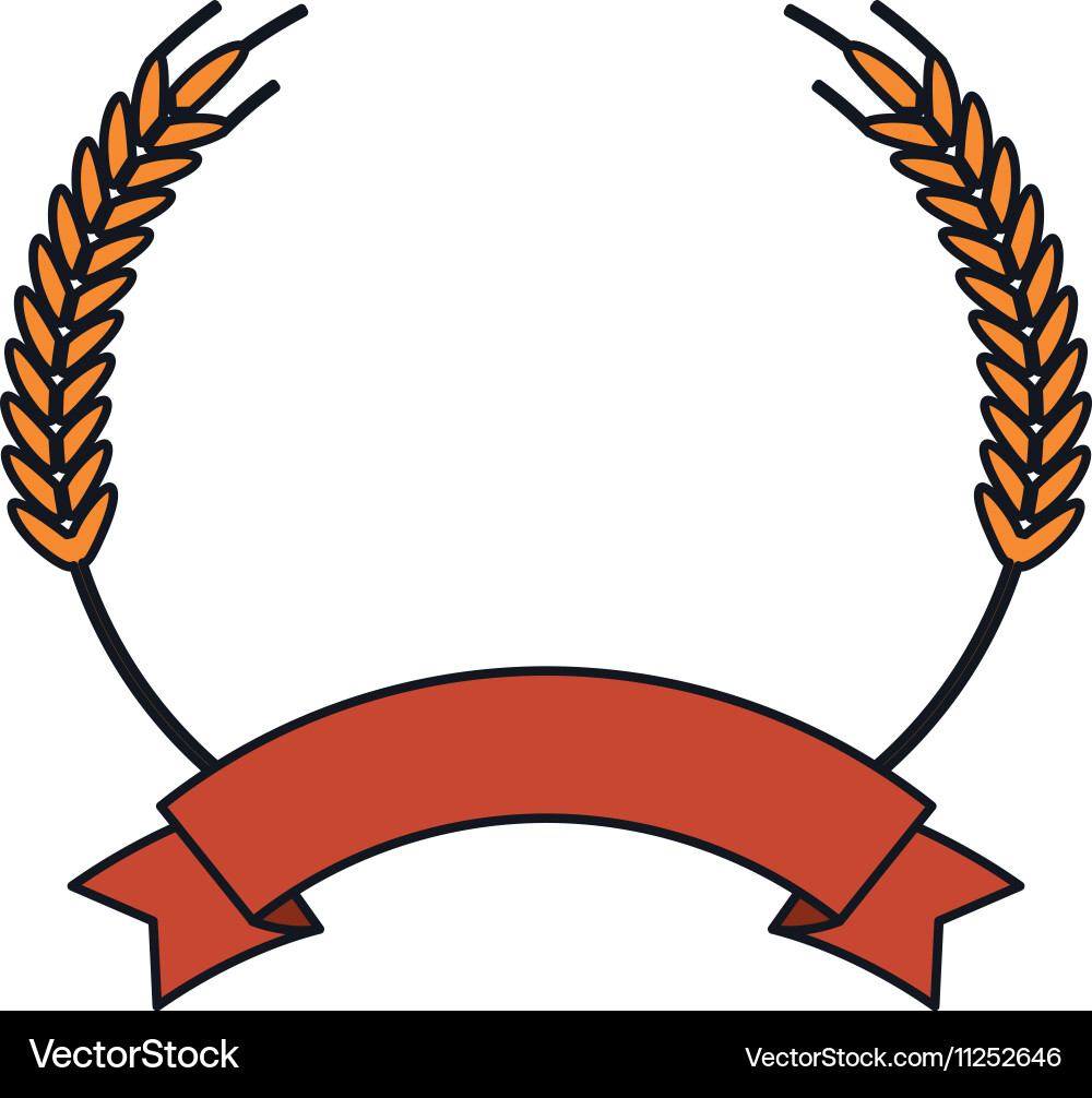 Isolated wheat ear with ribbon design Royalty Free Vector