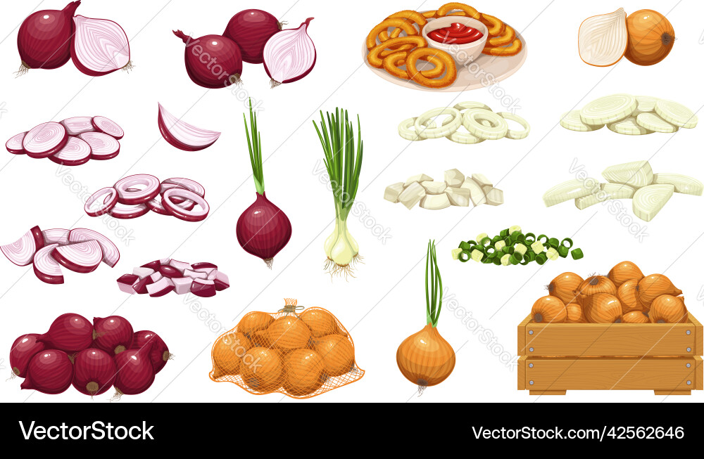 Onion icon set Royalty Free Vector Image - VectorStock