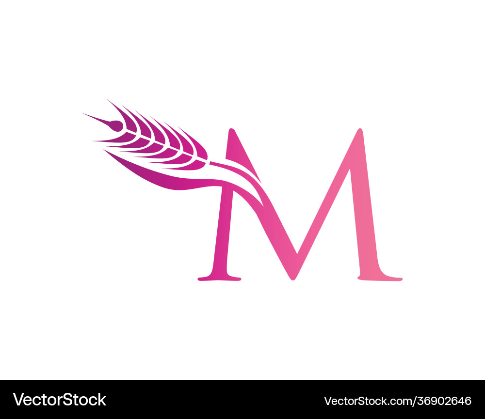 Wheat grain initial logo letter m Royalty Free Vector Image